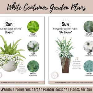Easy Container Flower Garden Guide Beginner-friendly Potted Flower Plan ...