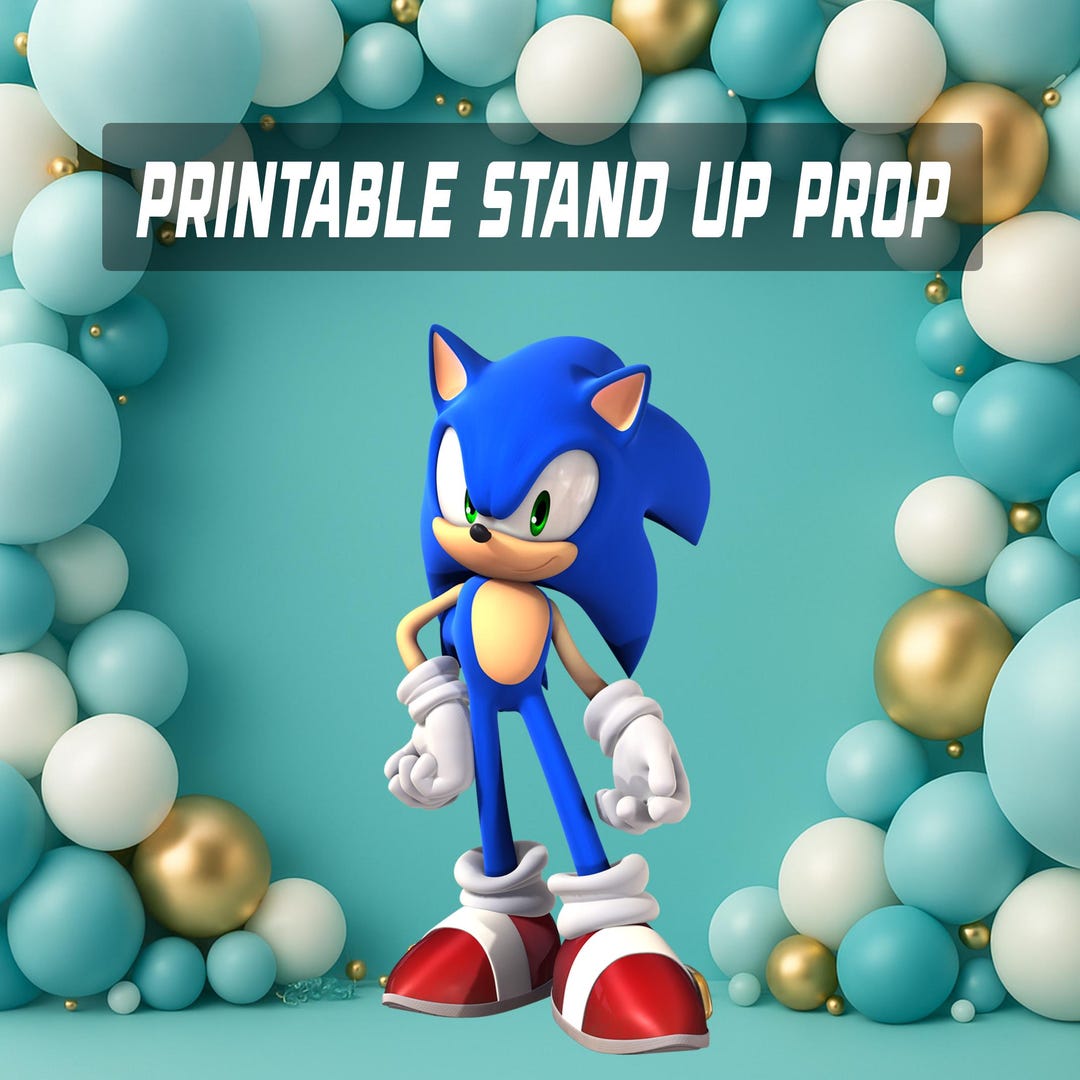 Sonic Prop, Party Decoration, Hedgehog Theme Party, Kids Birthday Yard ...