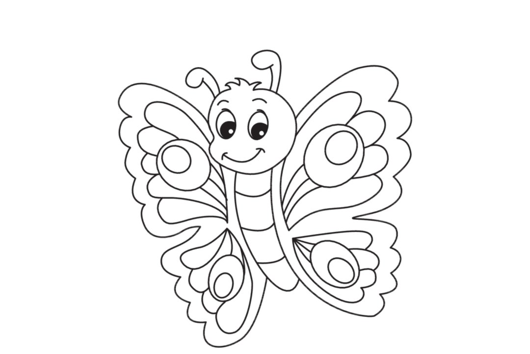 Color and Animals Coloring Book/digital/instant Download - Etsy