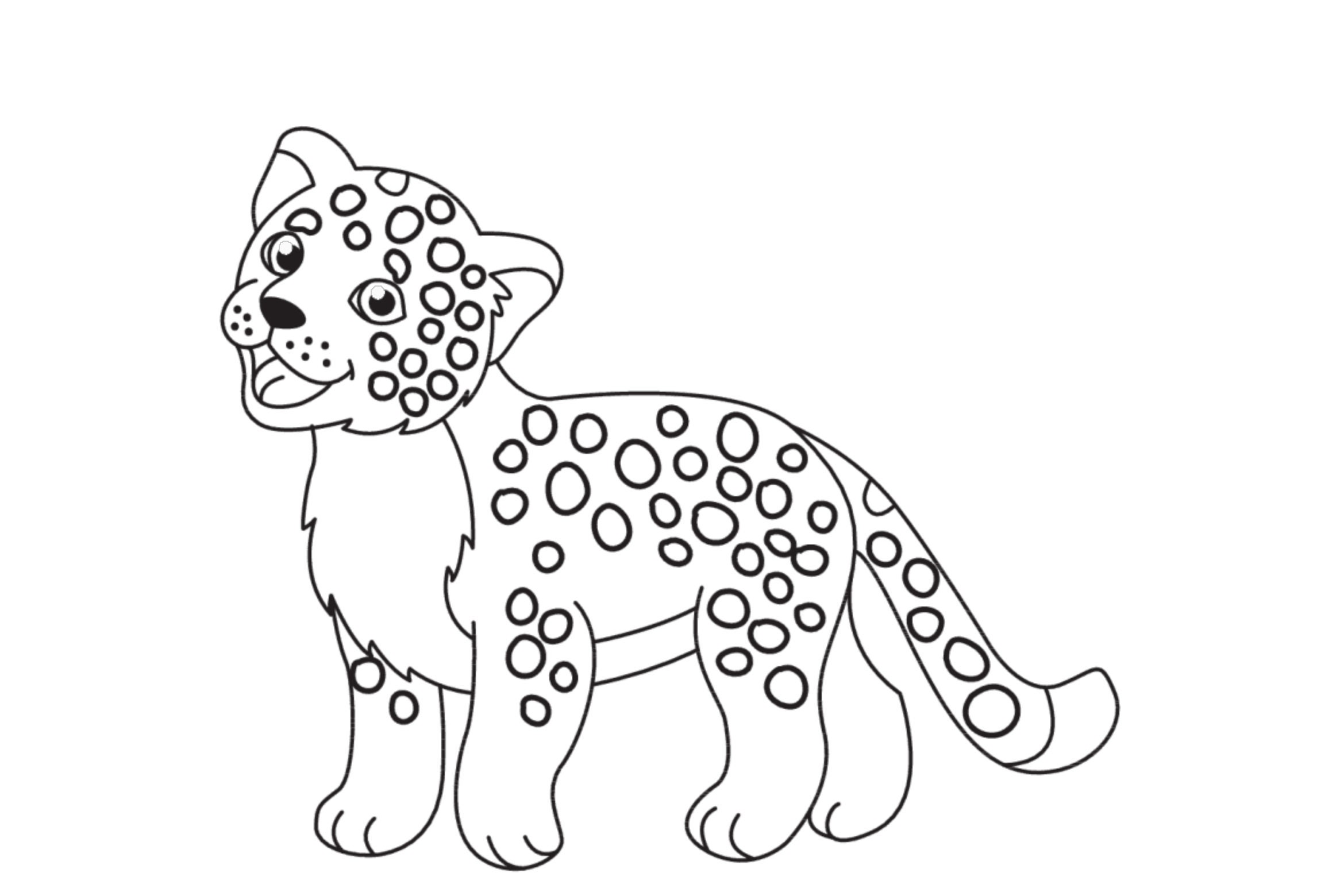 Color and Animals Coloring Book/digital/instant Download - Etsy