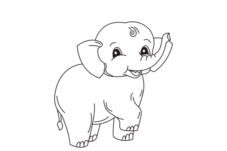 Color and Animals Coloring Book/digital/instant Download - Etsy