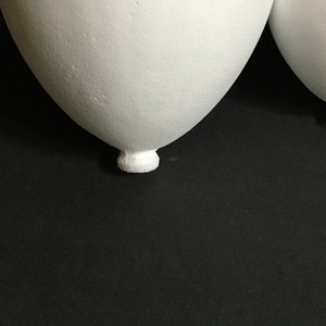 Balloon Styrofoam Polystyrene Balloons. Please Pay Close Attention to ...