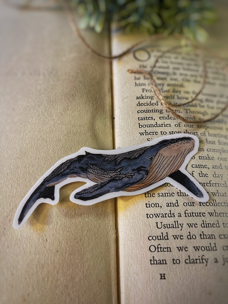 Watercolor Humpback Whale Sticker Ocean Sticker Whale - Etsy