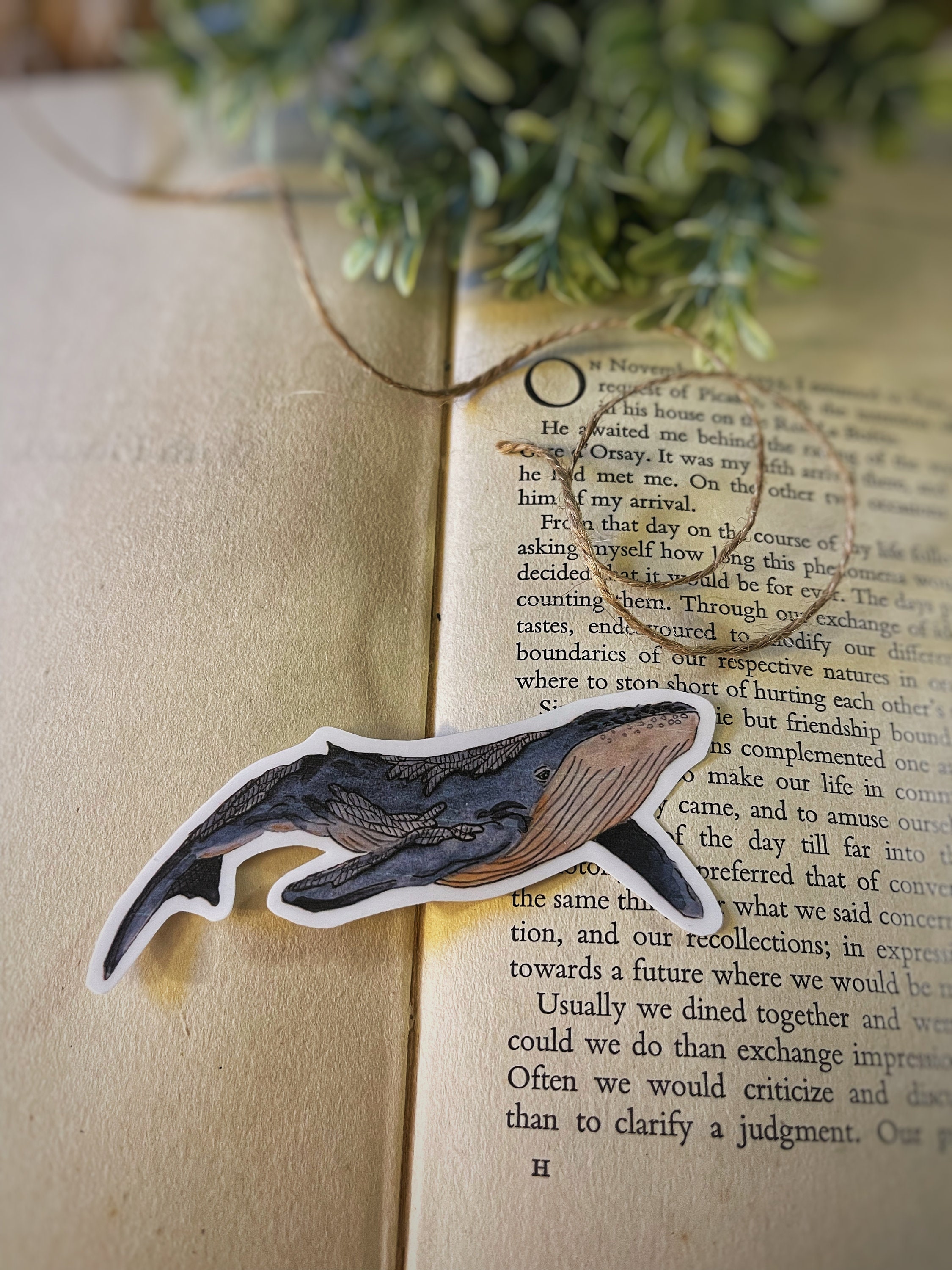 Watercolor Humpback Whale Sticker Ocean Sticker Whale - Etsy