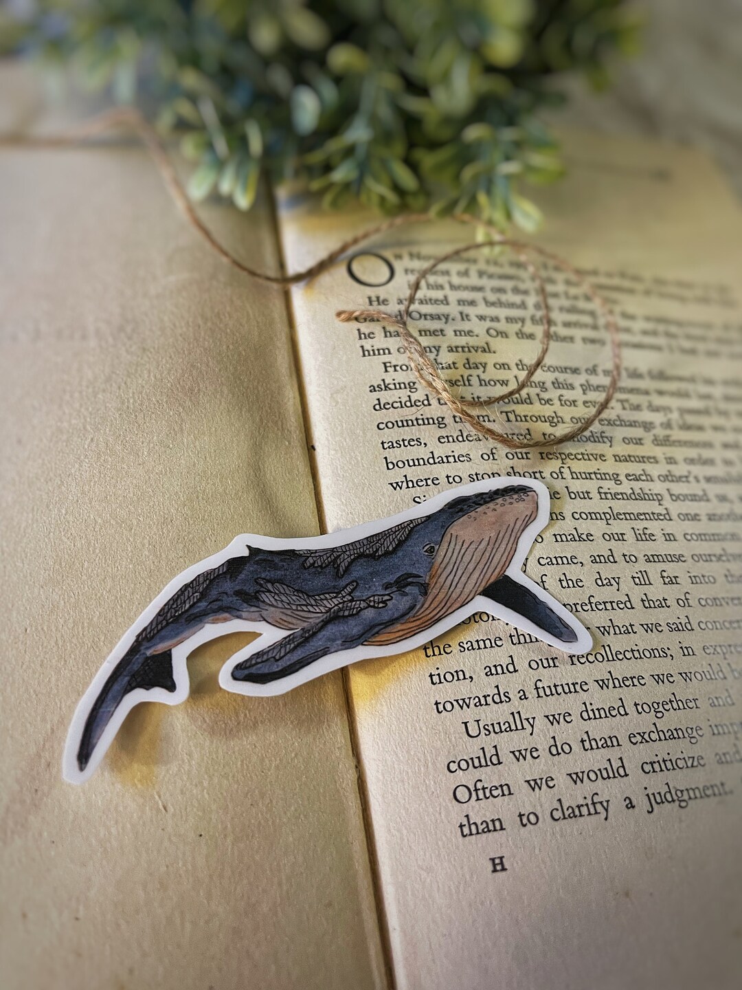 Watercolor Humpback Whale Sticker, Ocean Sticker, Whale Sticker, Laptop ...