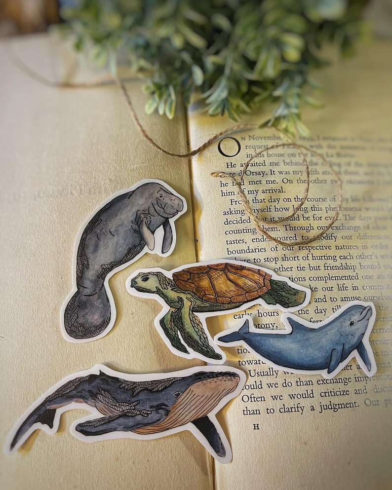 Watercolor Humpback Whale Sticker Ocean Sticker Whale - Etsy