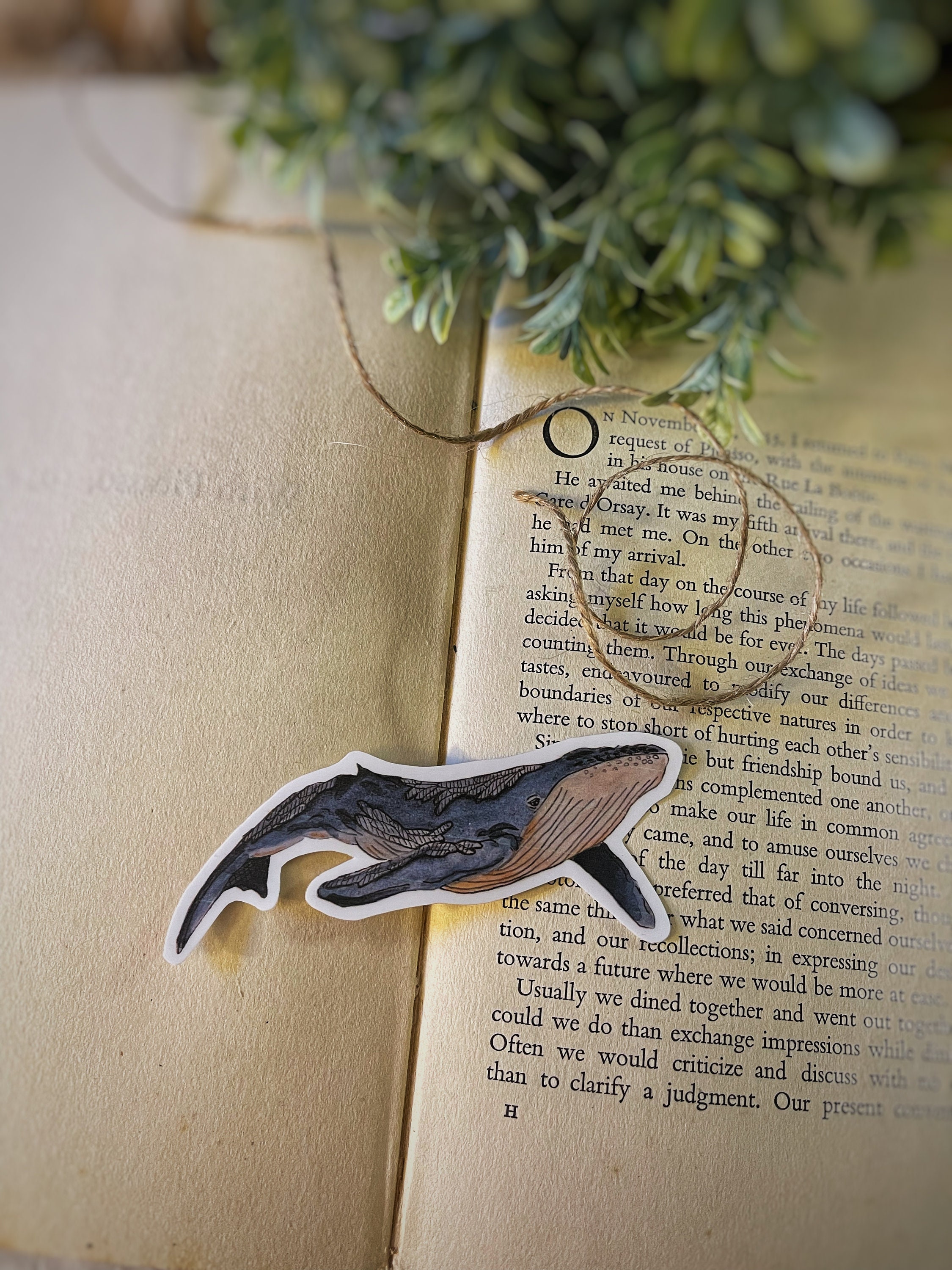 Watercolor Humpback Whale Sticker Ocean Sticker Whale - Etsy