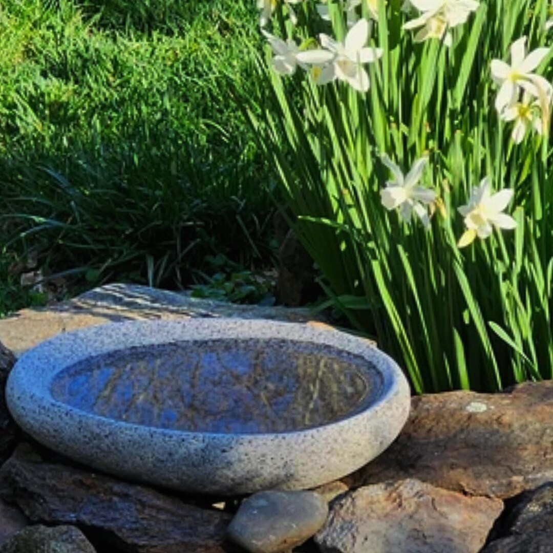 Handcrafted Natural Bird Bath for Balcony, Patio, Garden or Yard - Etsy ...