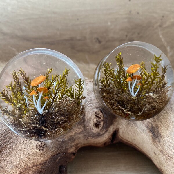 Nature Knobs - Etsy