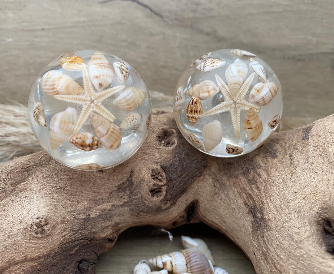 Drawer Knobs Pair, Seashell Design, Ideal for Ocean Style, Beach Homes - Etsy