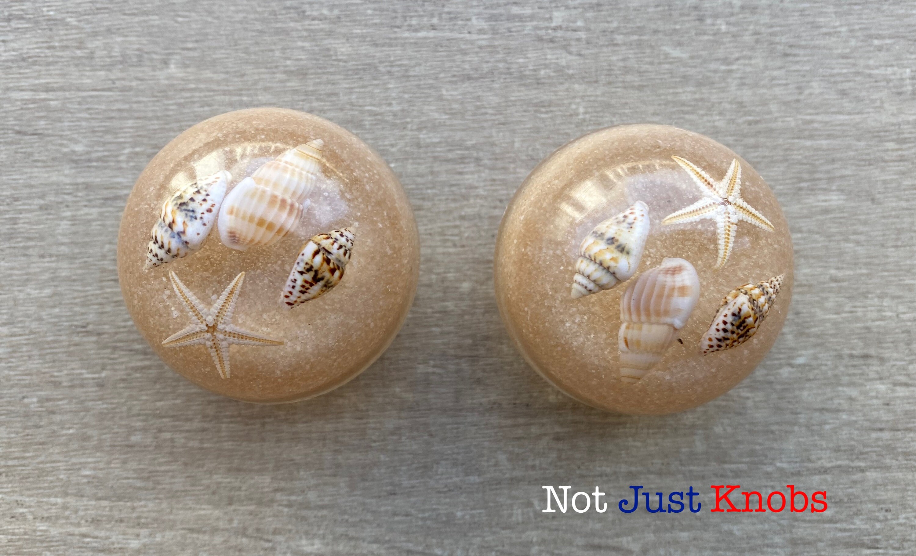 Drawer Knobs Pair, Seashell Design, Ideal for Ocean Style Rooms - Etsy