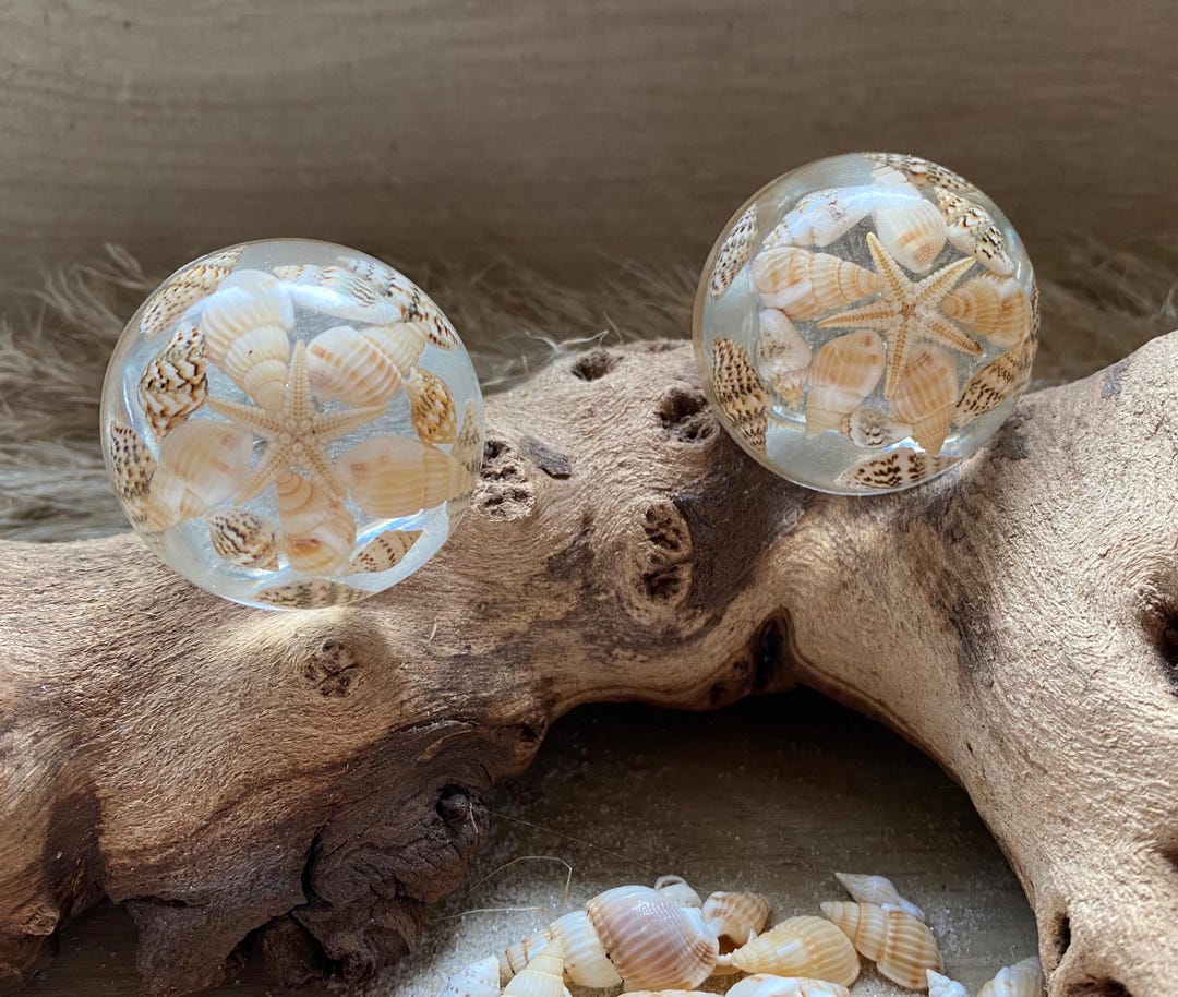 Drawer Knobs Pair, Seashell Design, Ideal for Ocean Style, Beach Homes - Etsy