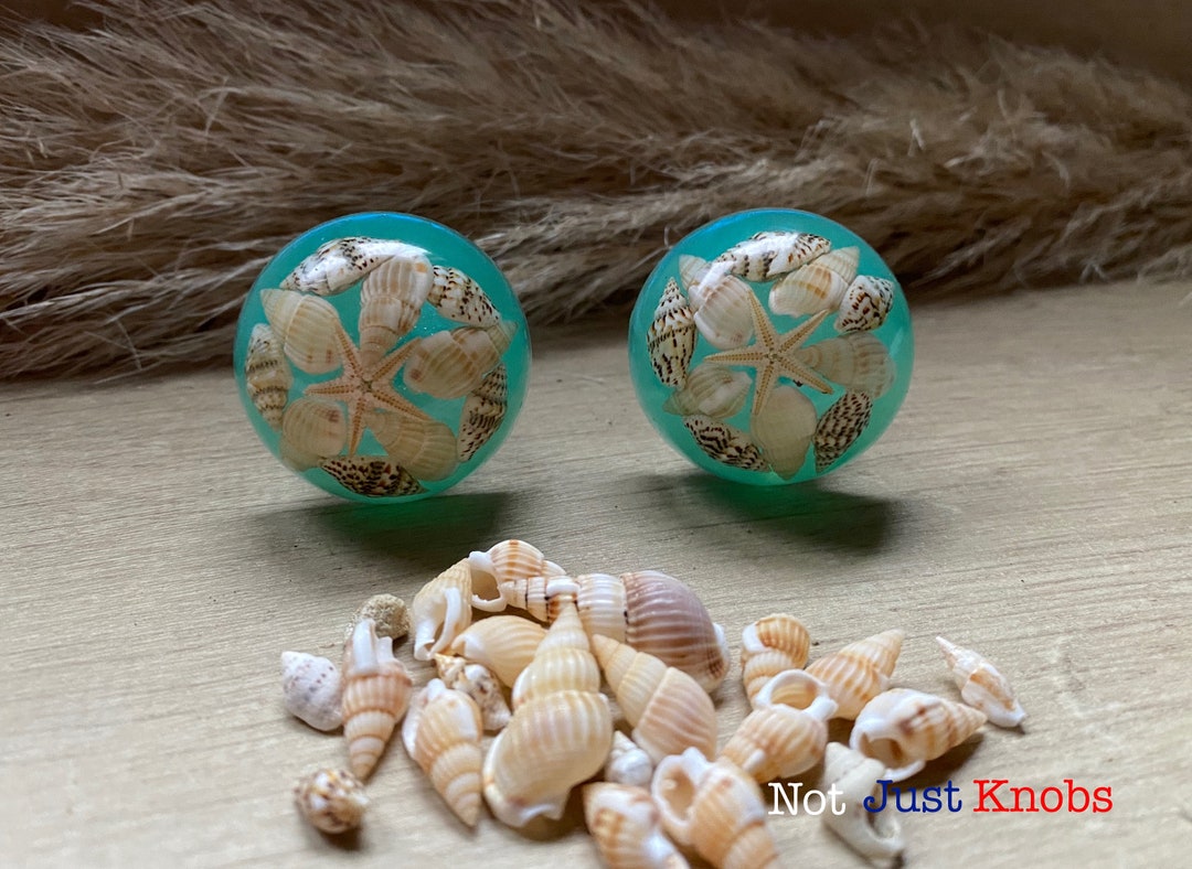 Drawer Knobs Pair, Seashell Design, Finishing Touch for Ocean Style Rooms - Etsy