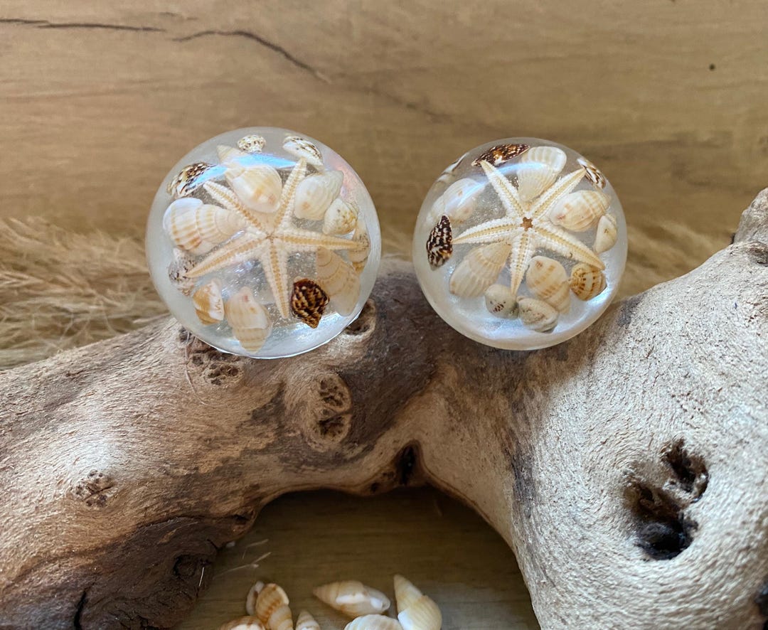 Drawer Knobs Pair, Seashell Design, Ideal for Ocean Style, Beach Homes - Etsy