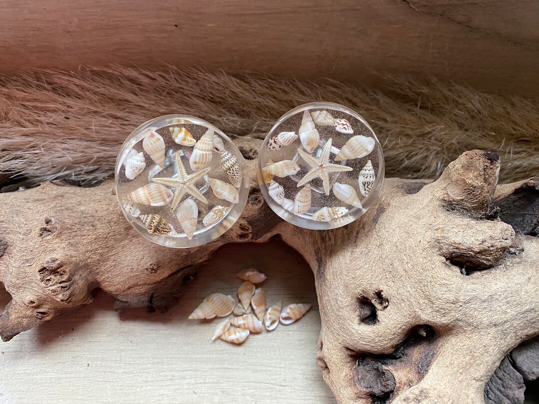 Drawer Knobs Pair, Seashell Design, Ideal for Rooms With a Seaside Theme - Etsy