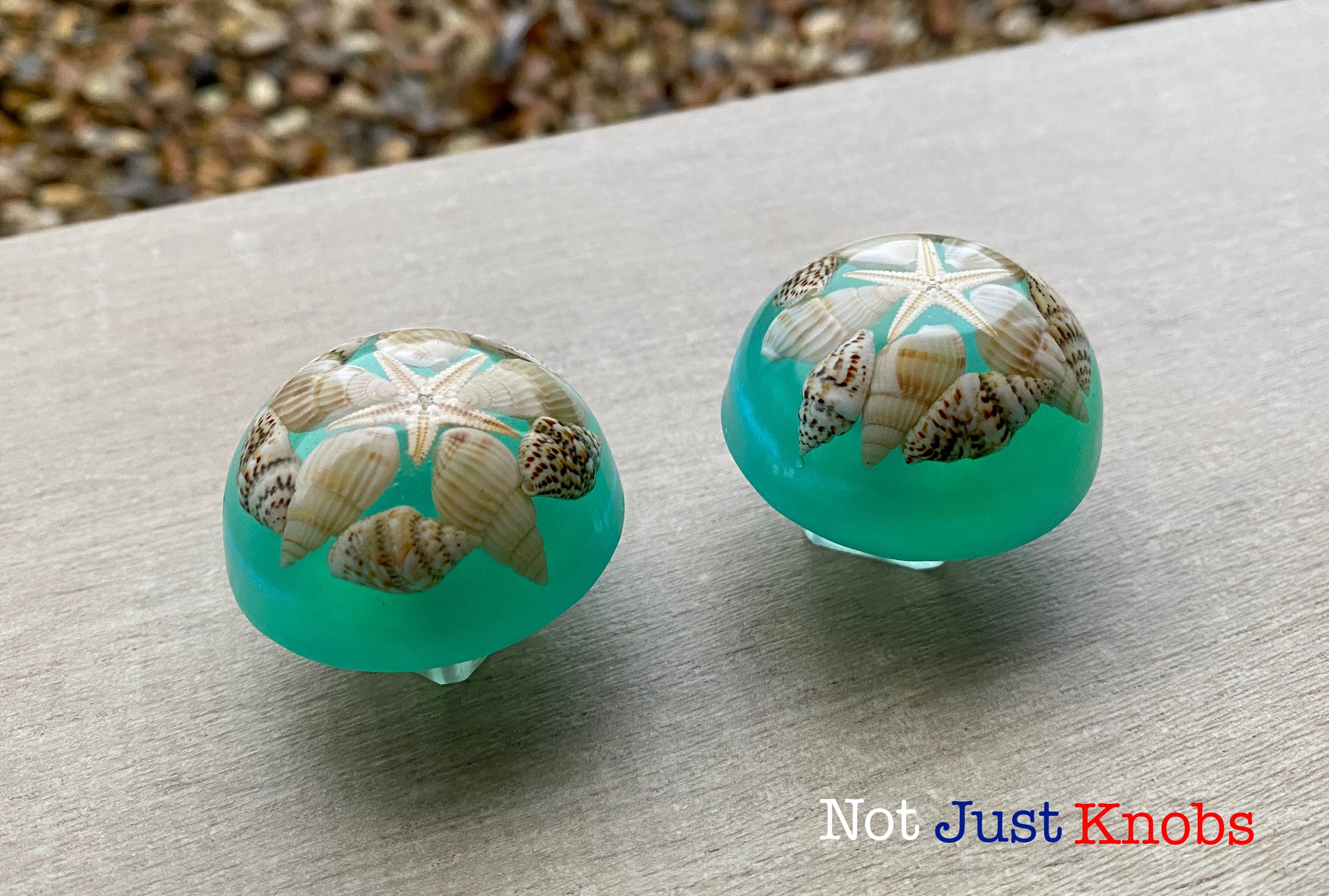 Drawer Knobs Pair, Seashell Design, Finishing Touch for Ocean Style ...