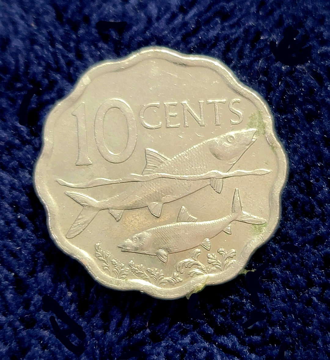 Bahamas 10 Cent Coin - Etsy