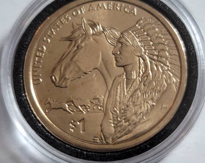 Sacagawea Coin With Chief and His Horse on Reverse in Protective Case ...