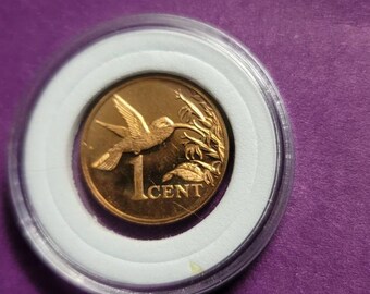 Hummingbird Coin - Etsy