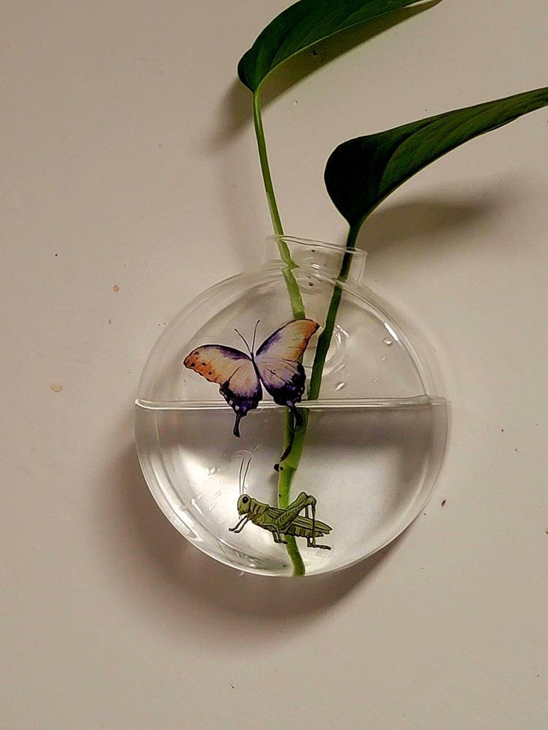 Hanging Glass Plant Starters - Etsy