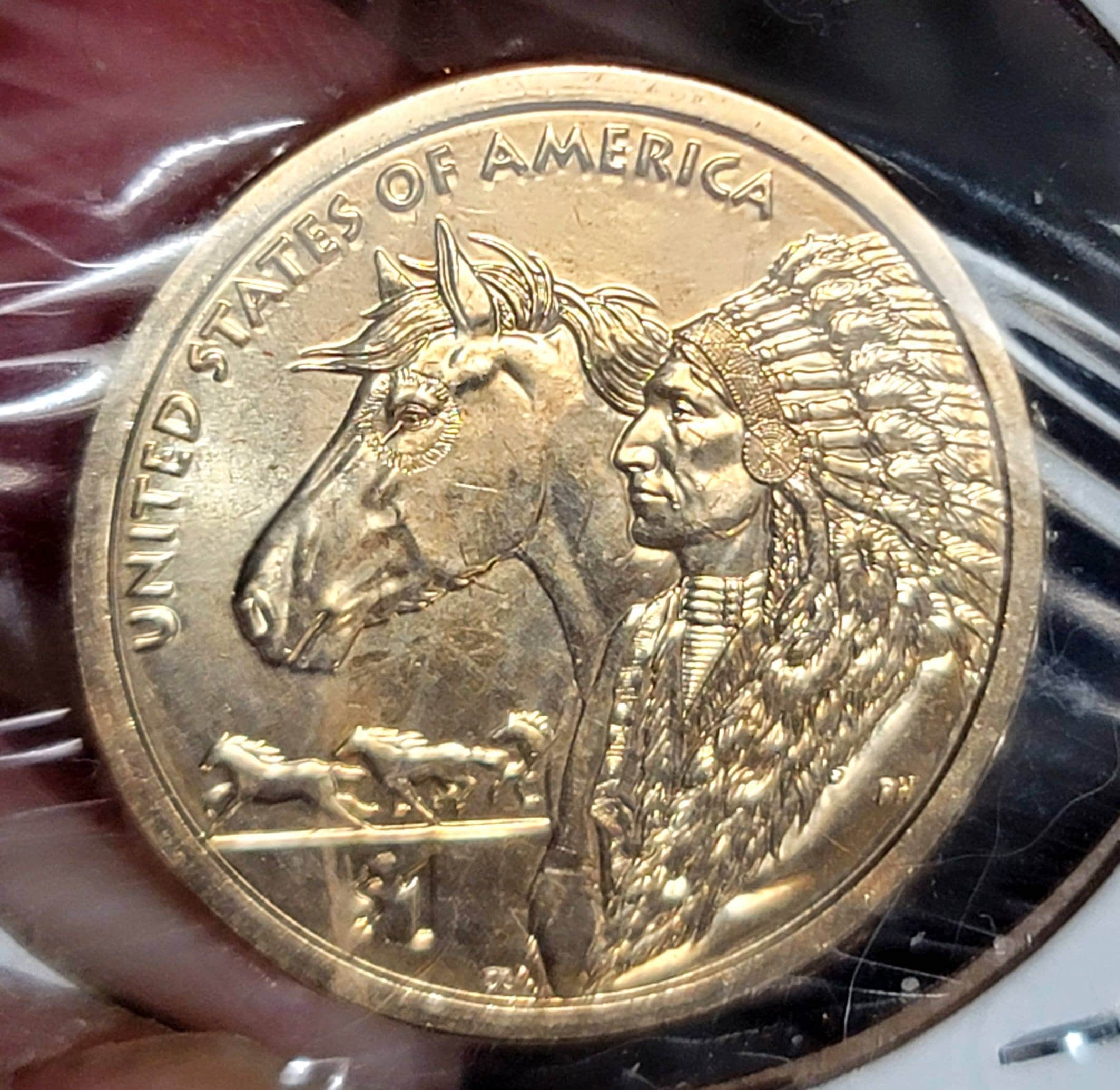 Sacagawea Coin With Chief and His Horse on Reverse in - Etsy
