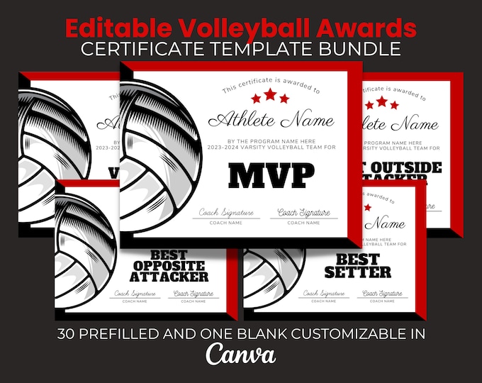 Volleyball Gift, Volleyball Plaque, Wall Plaque, Team Gifts, Award ...