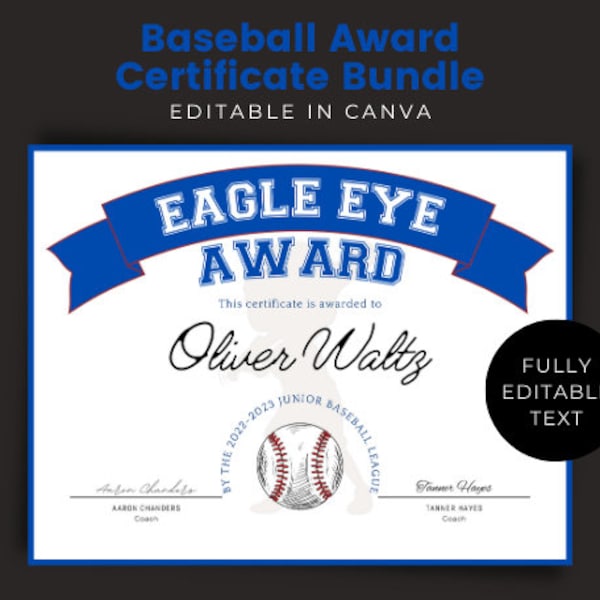 Funny Baseball Certificate - Etsy