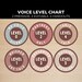 Boho Rainbow Voice Level Chart Classroom Management Decor (printable ...