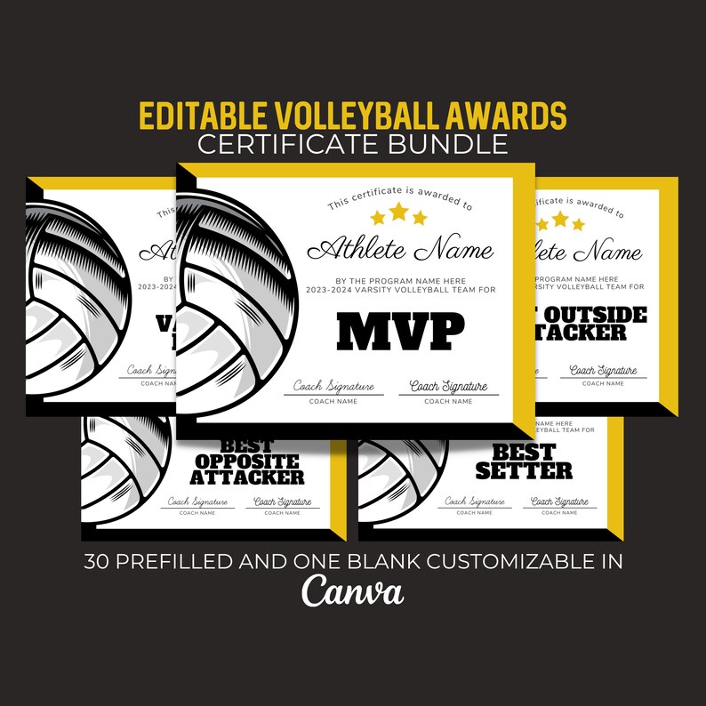 End of Season Volleyball Awards Bundle Editable Volleyball - Etsy