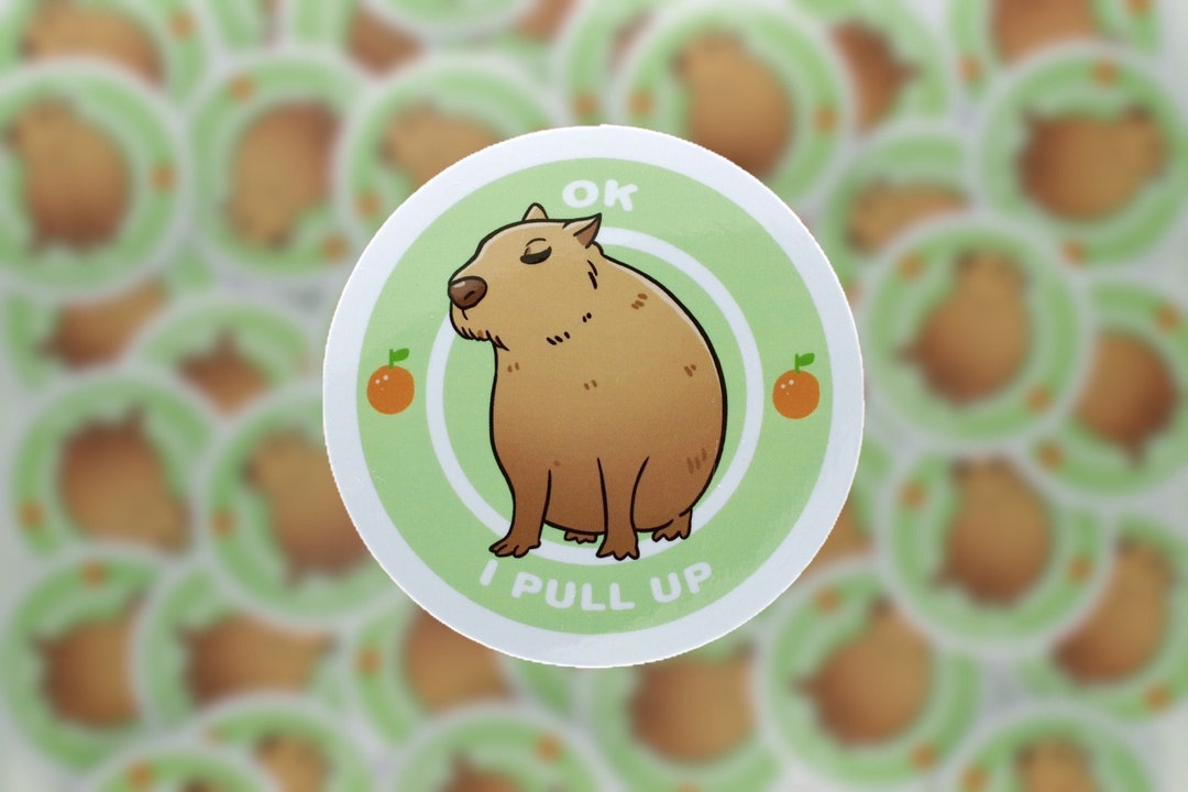 Capybara Stickers, Funny Stickers, Meme Stickers, Capybara Meme, Cute ...