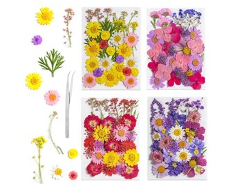 Dried Flower Kit | Etsy