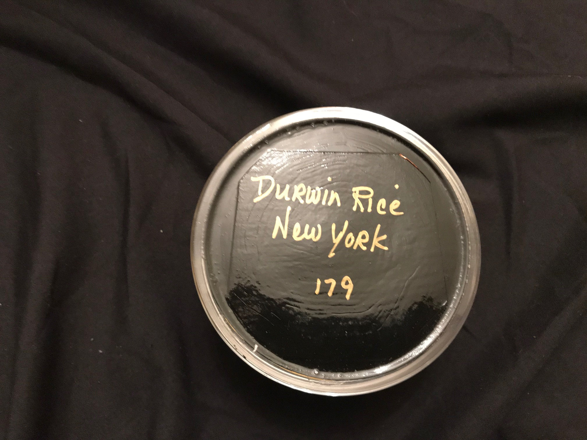 Crown & Jewels Paperweight by DURWIN RICE New York 179 - Etsy