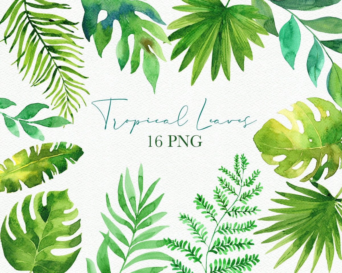 Watercolor Tropical Leaves Clipart. Hand Drawn Greenery - Etsy