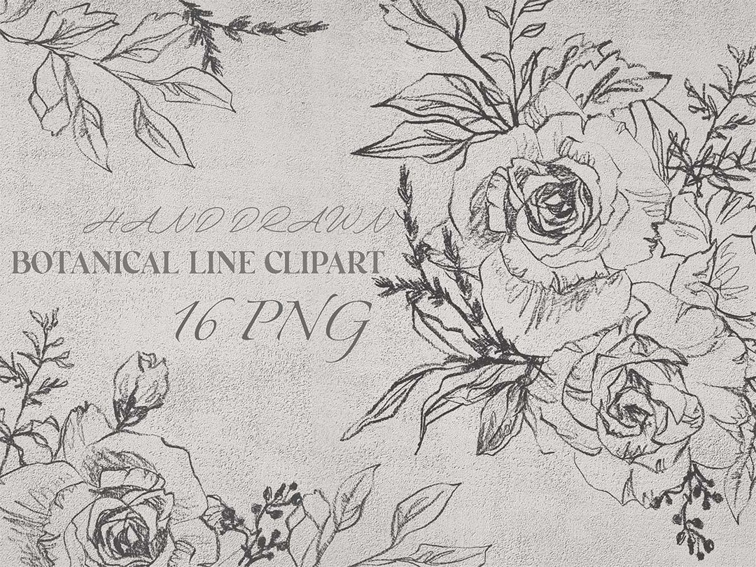 Fall Botanical Line Art, Single Line Art, Black Rose Clipart, Fall ...