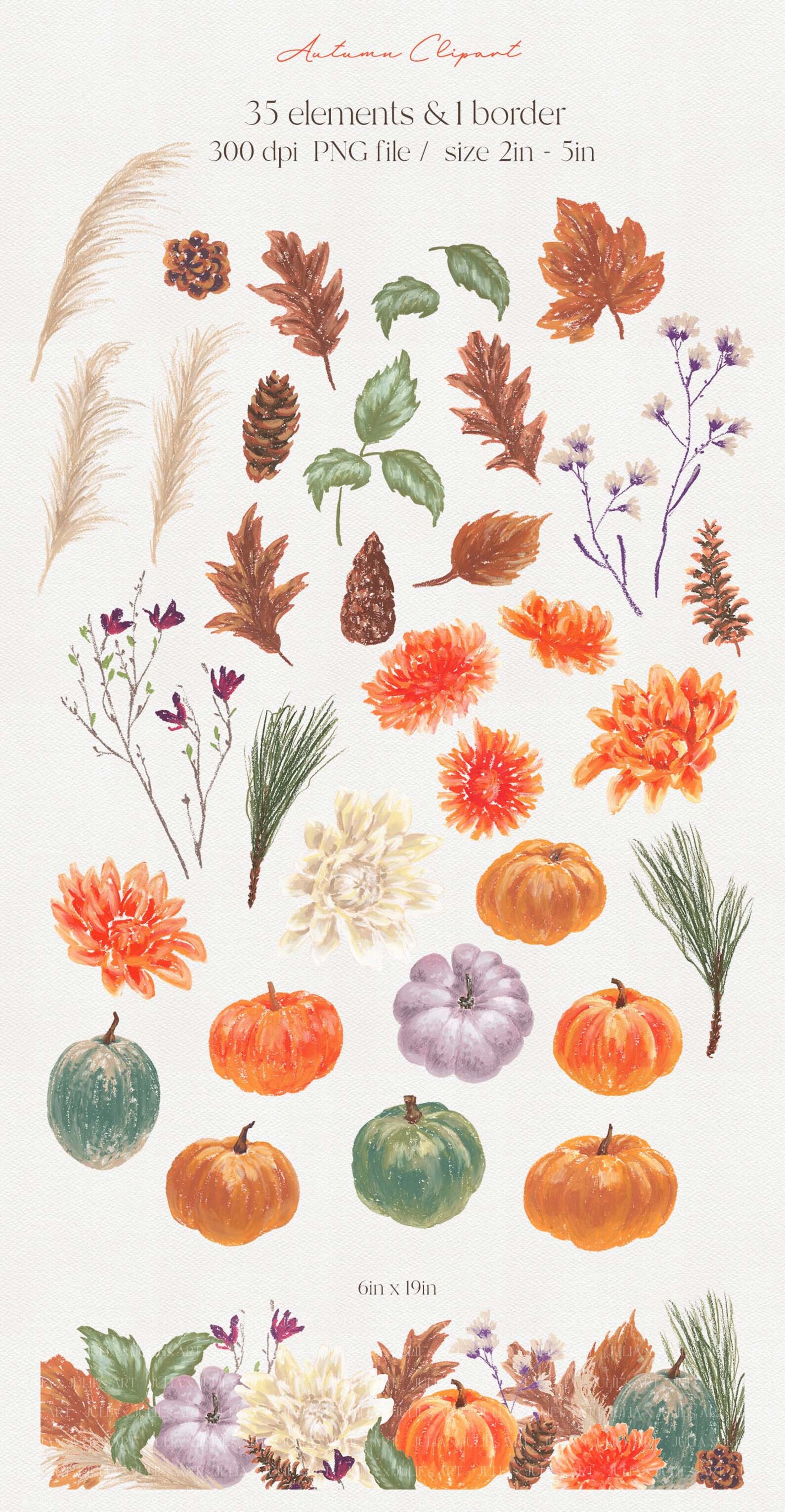 Fall Clipart Set, Pumpkin Thanksgiving Floral, Oil Pastel (PNG) - Etsy