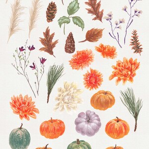 Fall Clipart Set, Pumpkin Thanksgiving Floral, Oil Pastel (PNG) - Etsy