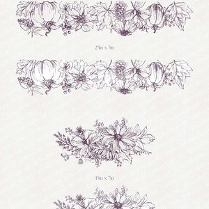 Botanical Fall Line Art, Floral Line Art, Autumn Clipart, Botanical ...