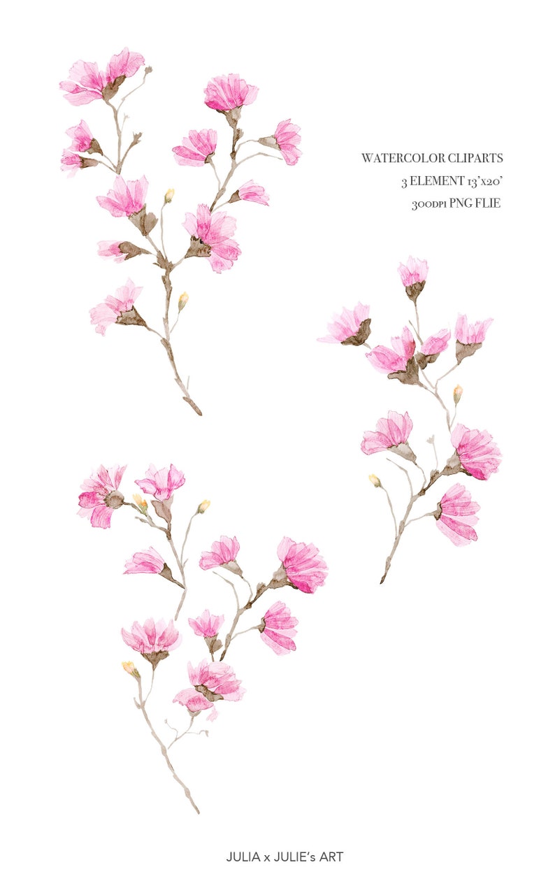 Watercolor Botanical Clipart, Spring Flower Clipart, Boho Floral ...