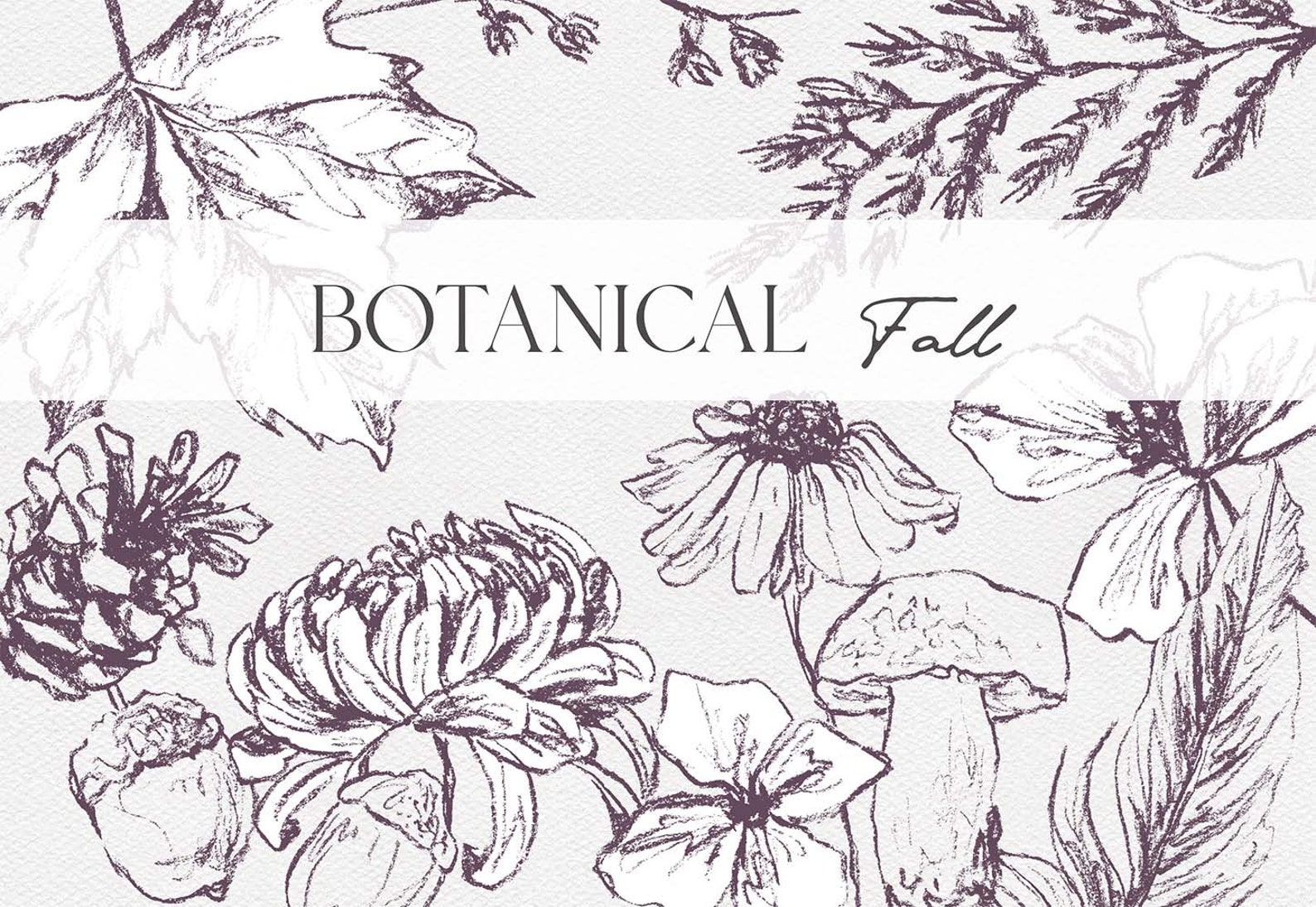 Autumn Floral Line Art Boho Clipart Rustic Clipart Fall - Etsy
