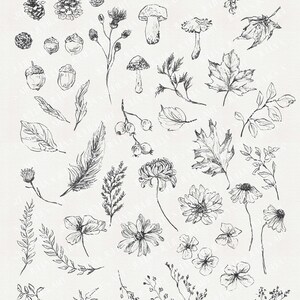 Autumn Floral Line Art Clipart, Boho Fall Wreath (digital Download) - Etsy