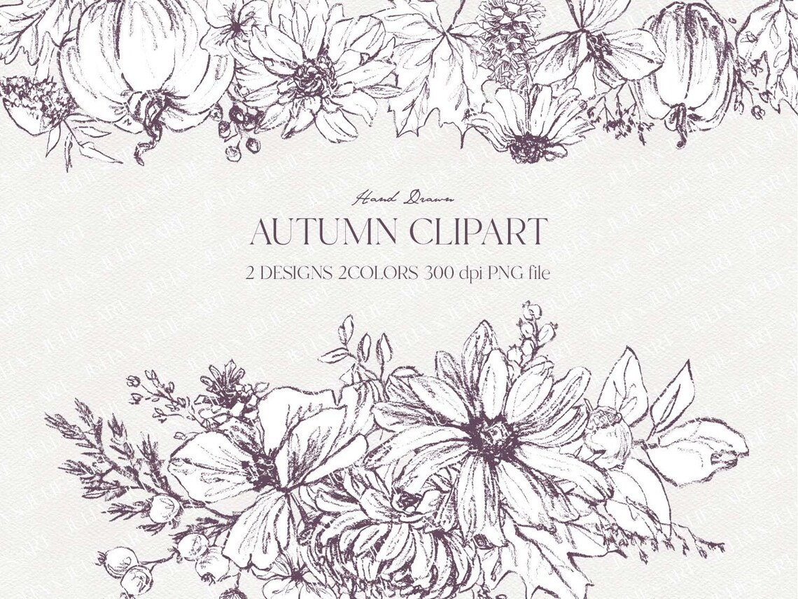 Botanical Fall Line Art, Floral Line Art, Autumn Clipart, Botanical ...
