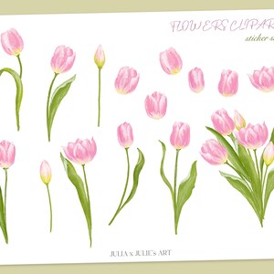 Spring Tulip Clipart. Pink Tulip Flowers Clipart. Wedding Clipart ...