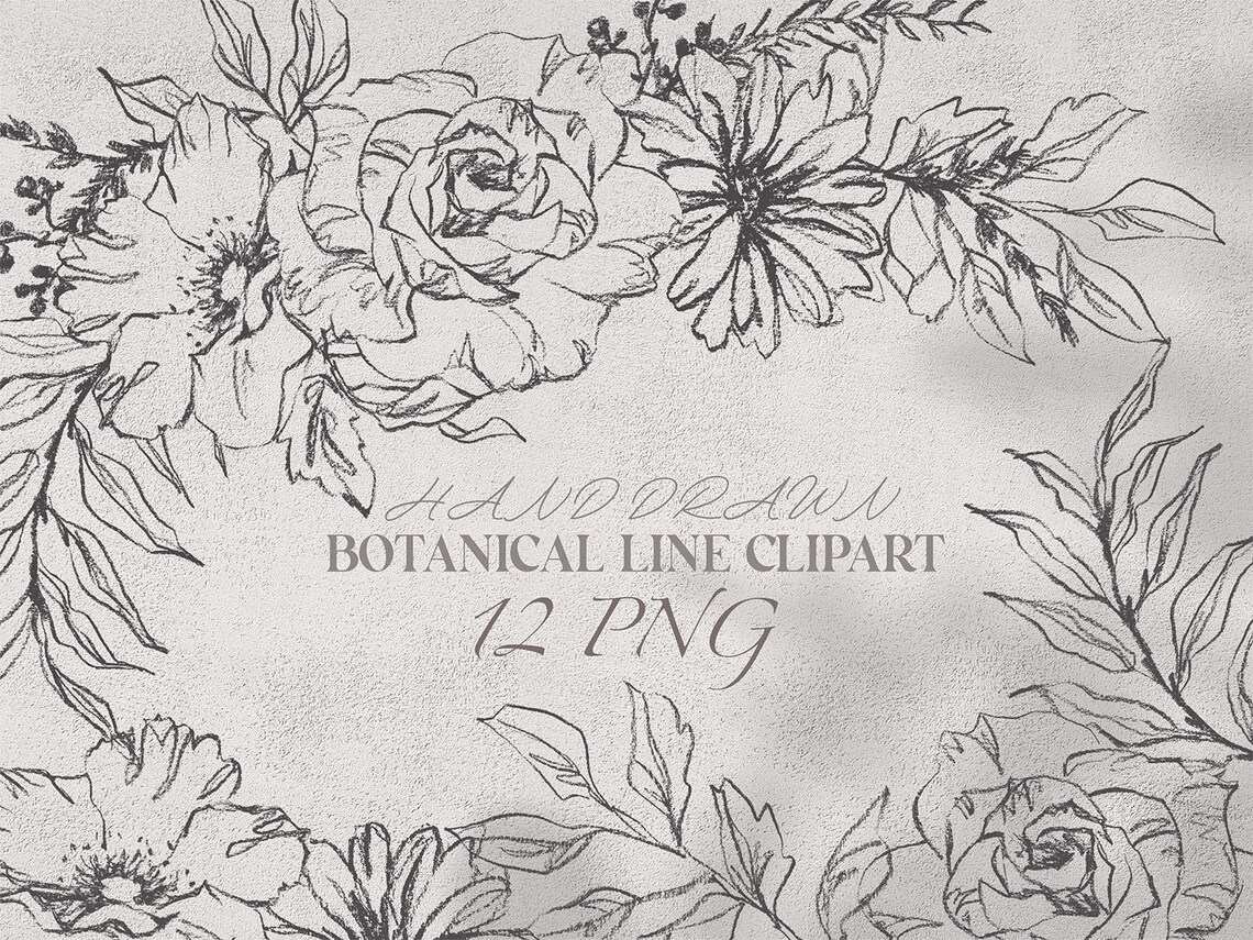 Floral Line Drawing Fall Clipart, Single Line Drawing, Boho Floral ...