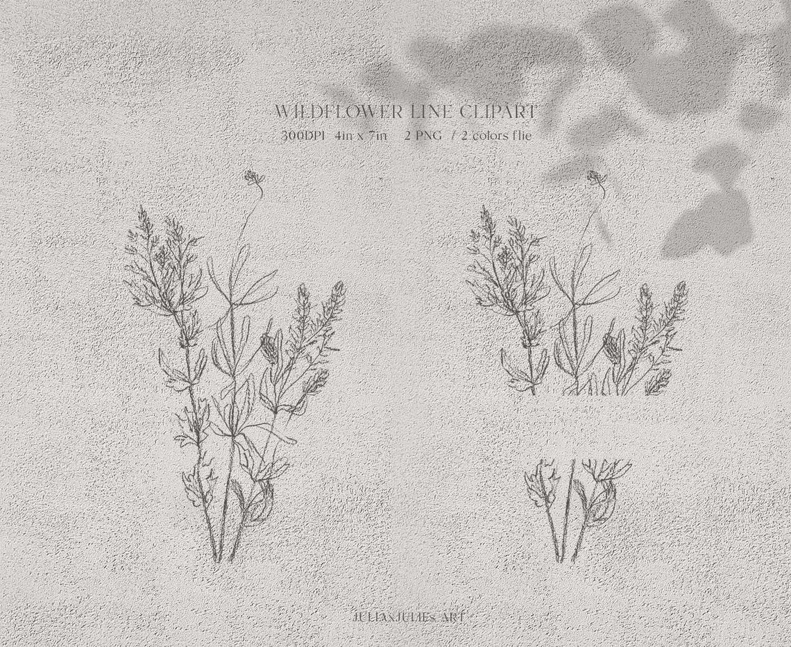 Wildflower Line Art, Fall Clipart, Hand Drawn Autumn Flowers Png ...