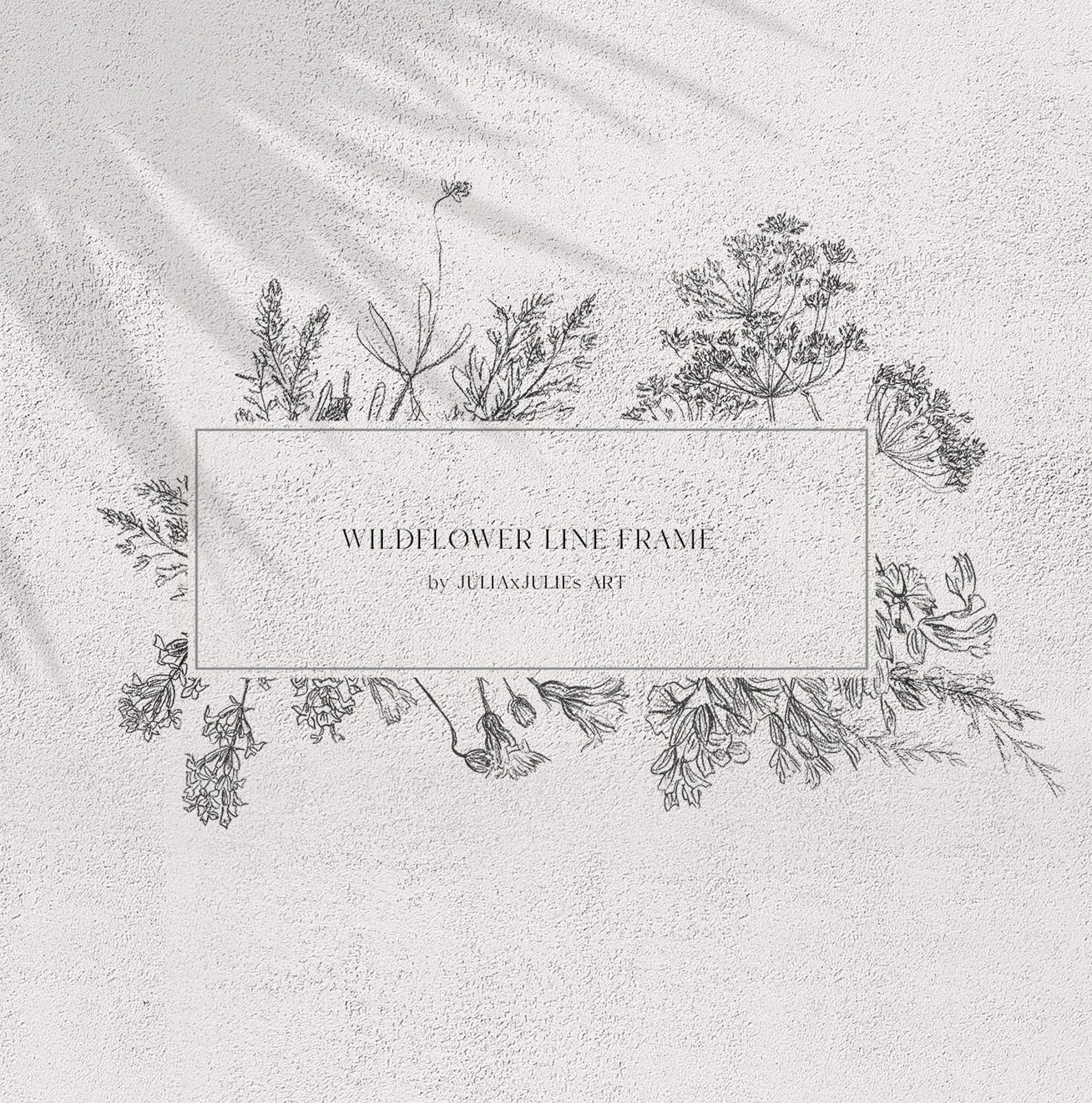 Fall Wildflower Line Border Frame Clipart, Hand Drawn Flower PNG ...
