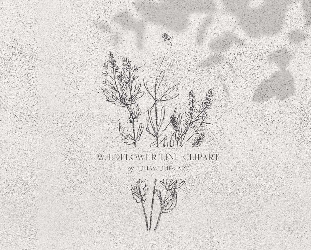 Wildflower Line Art, Fall Clipart, Hand Drawn Autumn Flowers Png ...