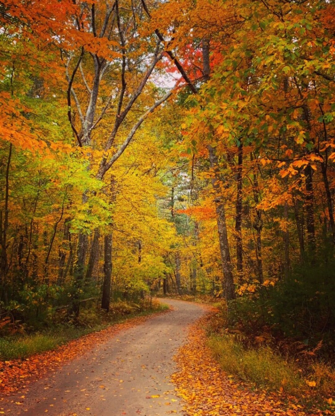 Autumn in Foster, RI Print - Etsy