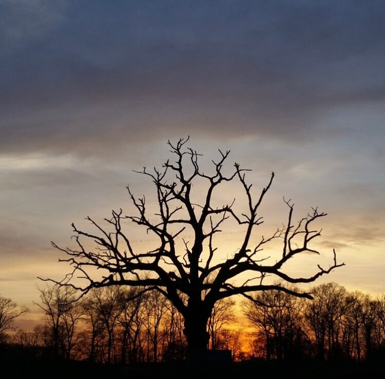 Decaying Sunset Print - Etsy