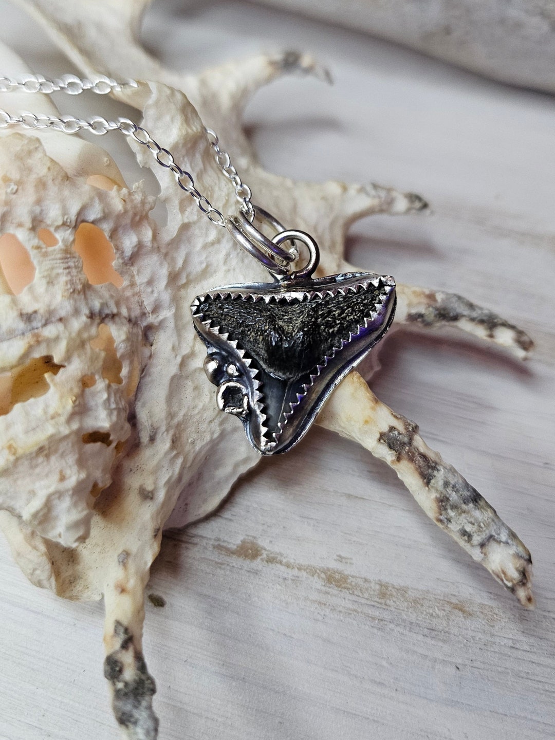 Handmade Shark Tooth Fossil & Barnacles 925 Sterling Silver Pendant and ...