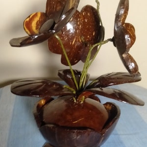 Eco-friendly Natural Coconut Shell Flowers Bunch Home / Office Deco ...